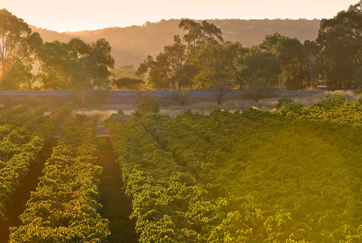 Harrow Green, Dayton, Perth, WA, 6055 | Dream Home Property Investments ...